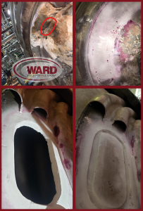 Partial Head Replacement - Ward Vessel and Exchanger